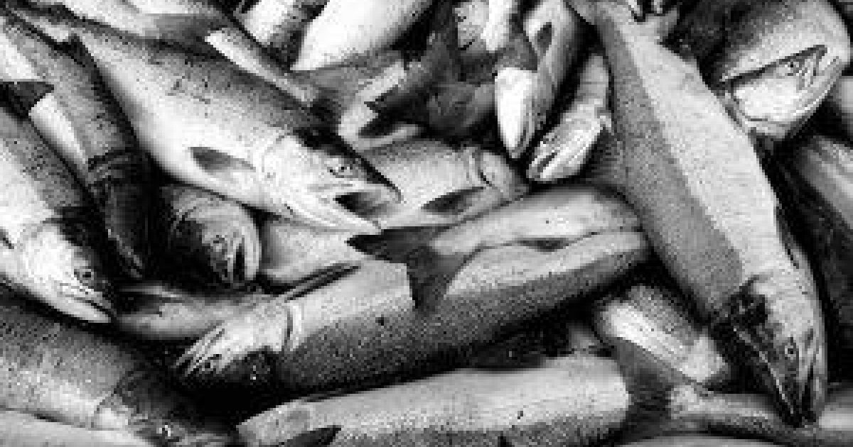 Hunting & Fishing on Kalispel Tribal Property | Kalispel Tribe