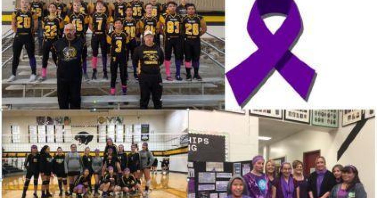 Recap of Domestic Violence Awareness Month at Cusick School District ...