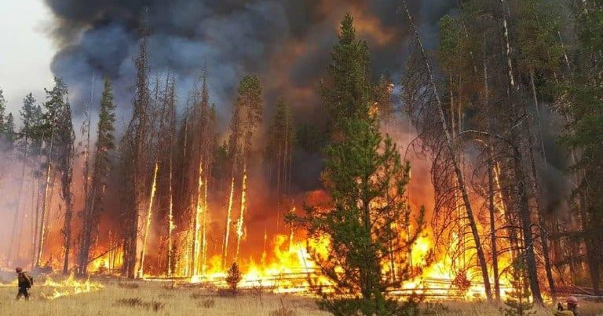 Kalispel Brush-1 Hits the Fire Trail Region Wide | Kalispel Tribe