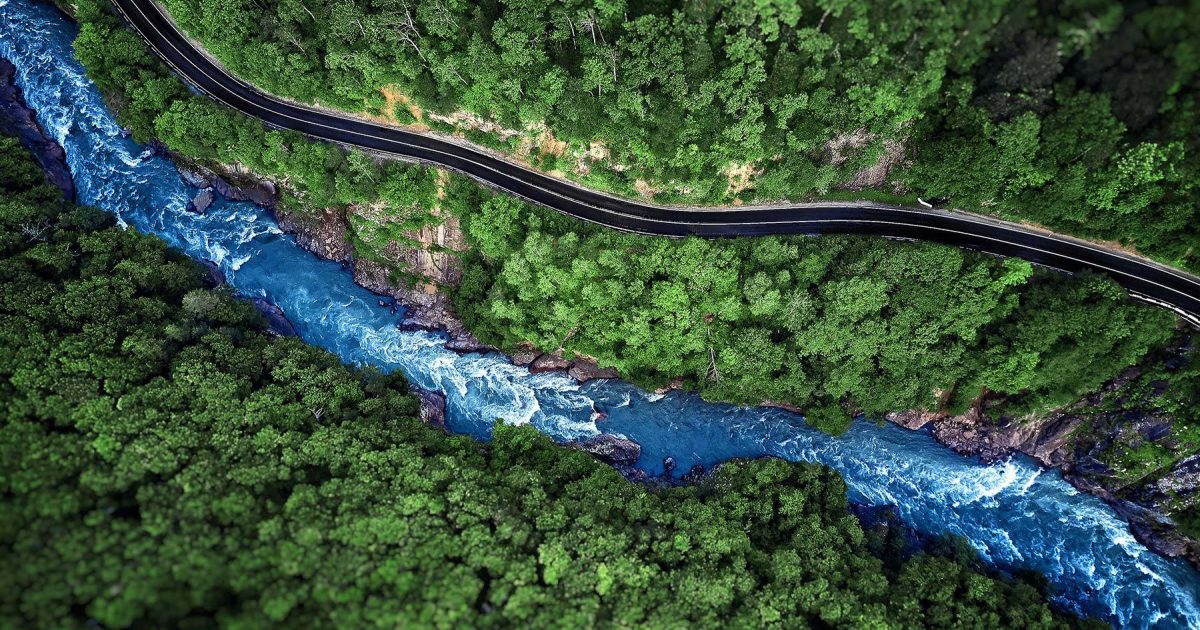 Forestry Study at Indian Creek | We Are Kalispel | Kalispel Tribe